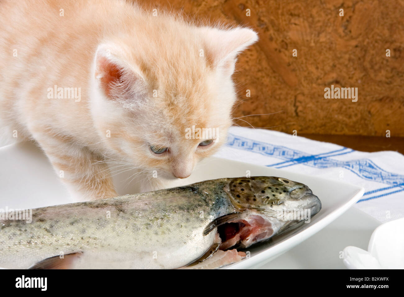 First Fish In The World