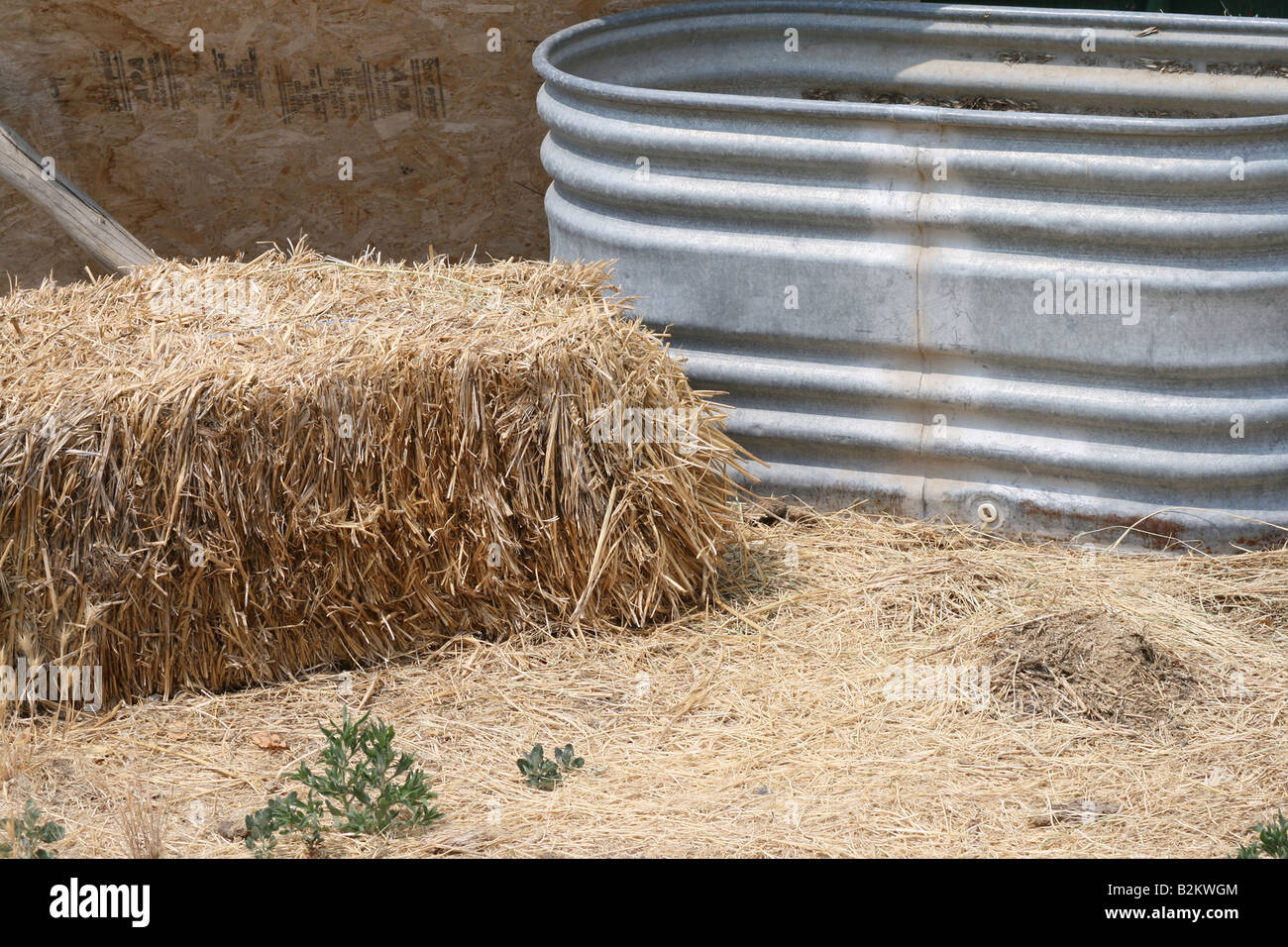 Farm water trough hi-res stock photography and images - Alamy