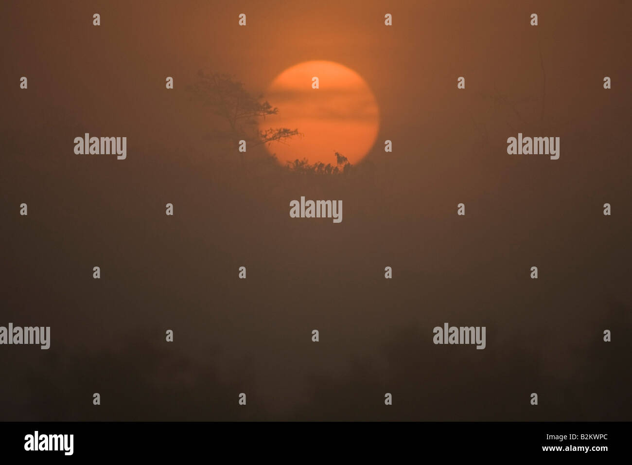 rising sun in the mist Stock Photo - Alamy