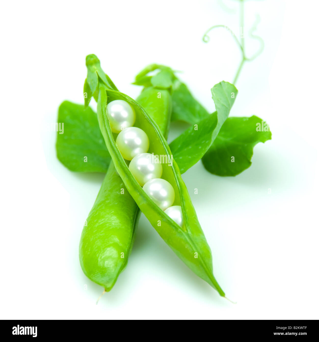 Pearl inside pea pod hi-res stock photography and images - Alamy