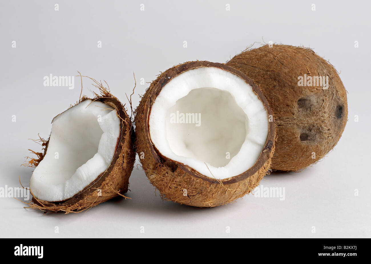 Dried coconuts hi-res stock photography and images - Alamy