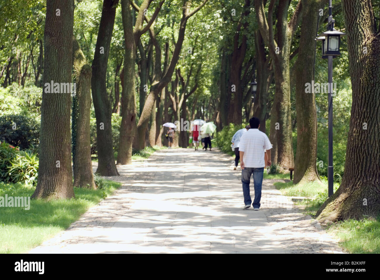 China, Suzhou, People Walking Along Tree Lined Pathway At Tiger Hill ...