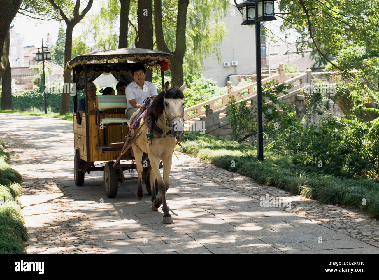 China, Suzhou, Traditional Horse Cart Ride At Tiger Hill Stock Photo ...