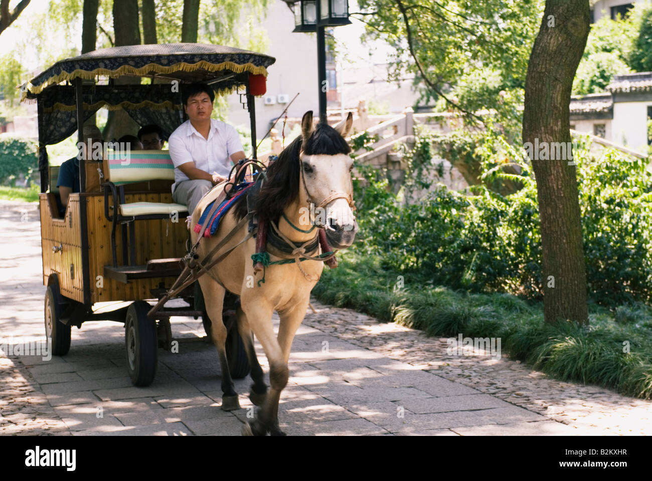 China, Suzhou, Traditional Horse Cart Ride At Tiger Hill Stock Photo ...