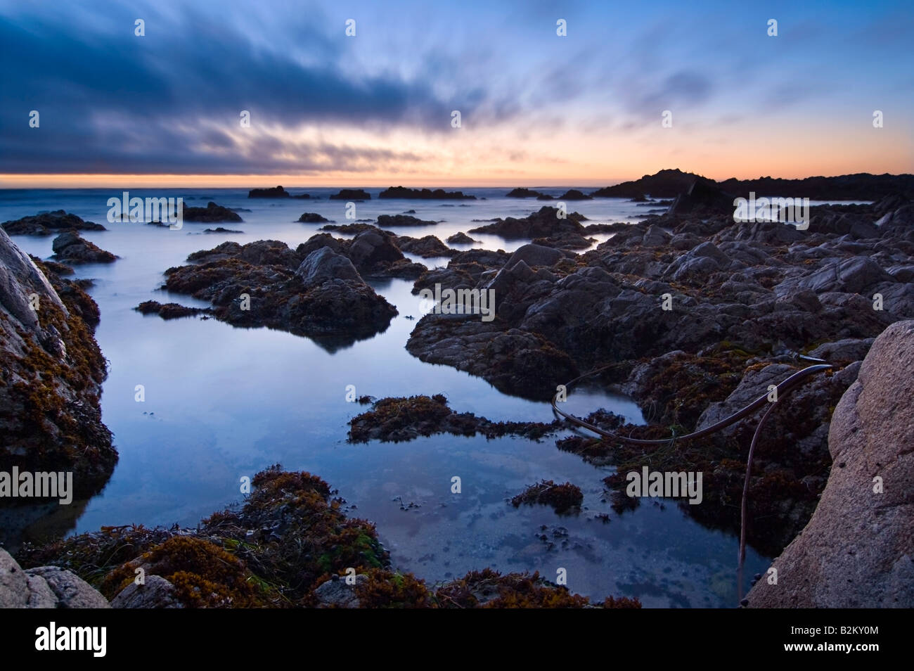 Rocky Asilomar Beach in Monterey Bay at sunset Stock Photo - Alamy