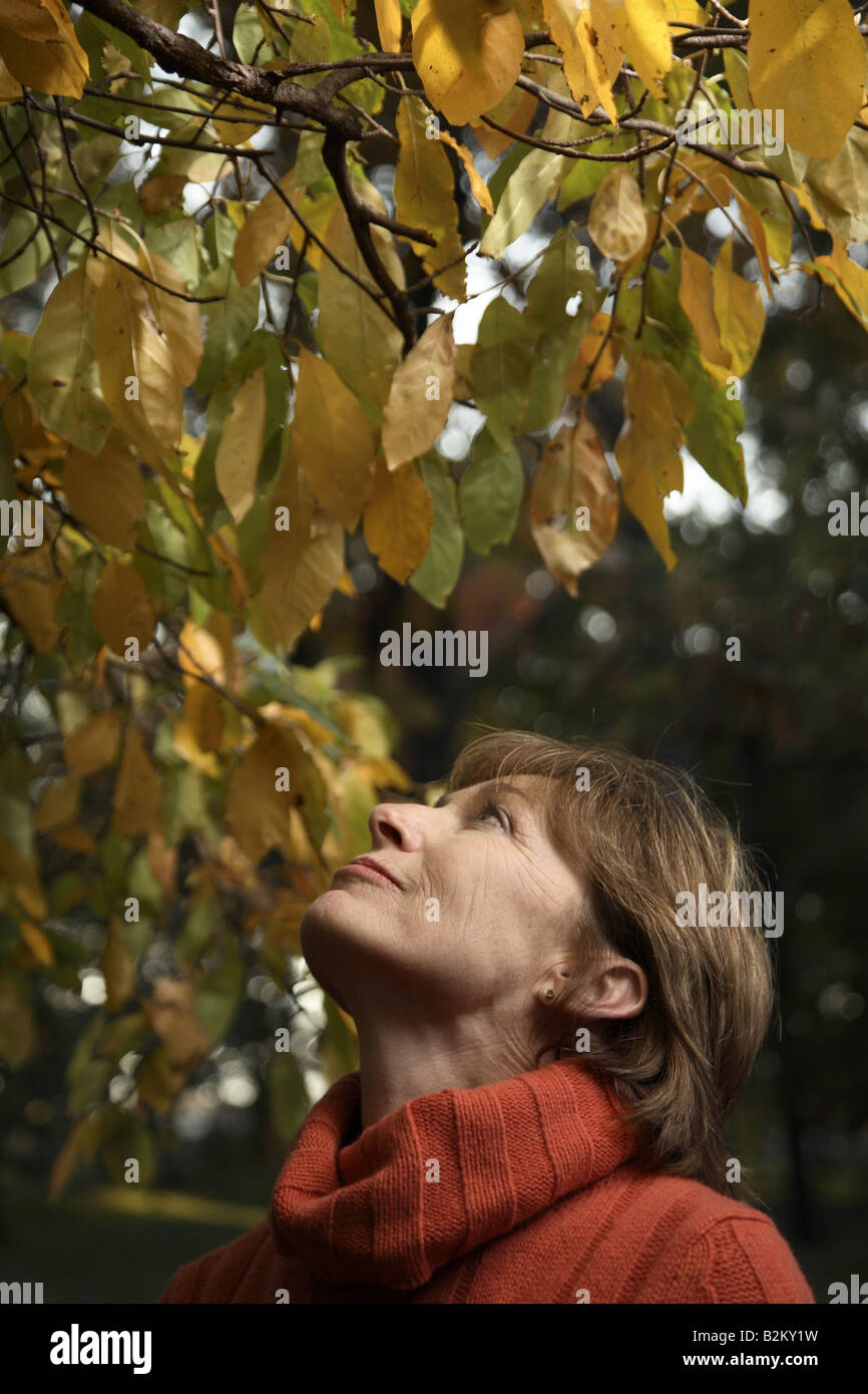 Mature woman under tree Stock Photo - Alamy
