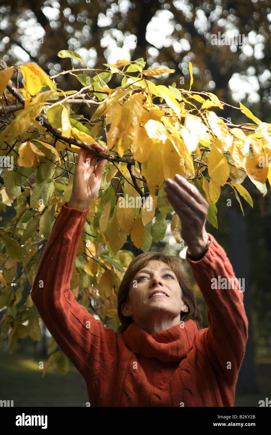 Mature woman under tree Stock Photo - Alamy