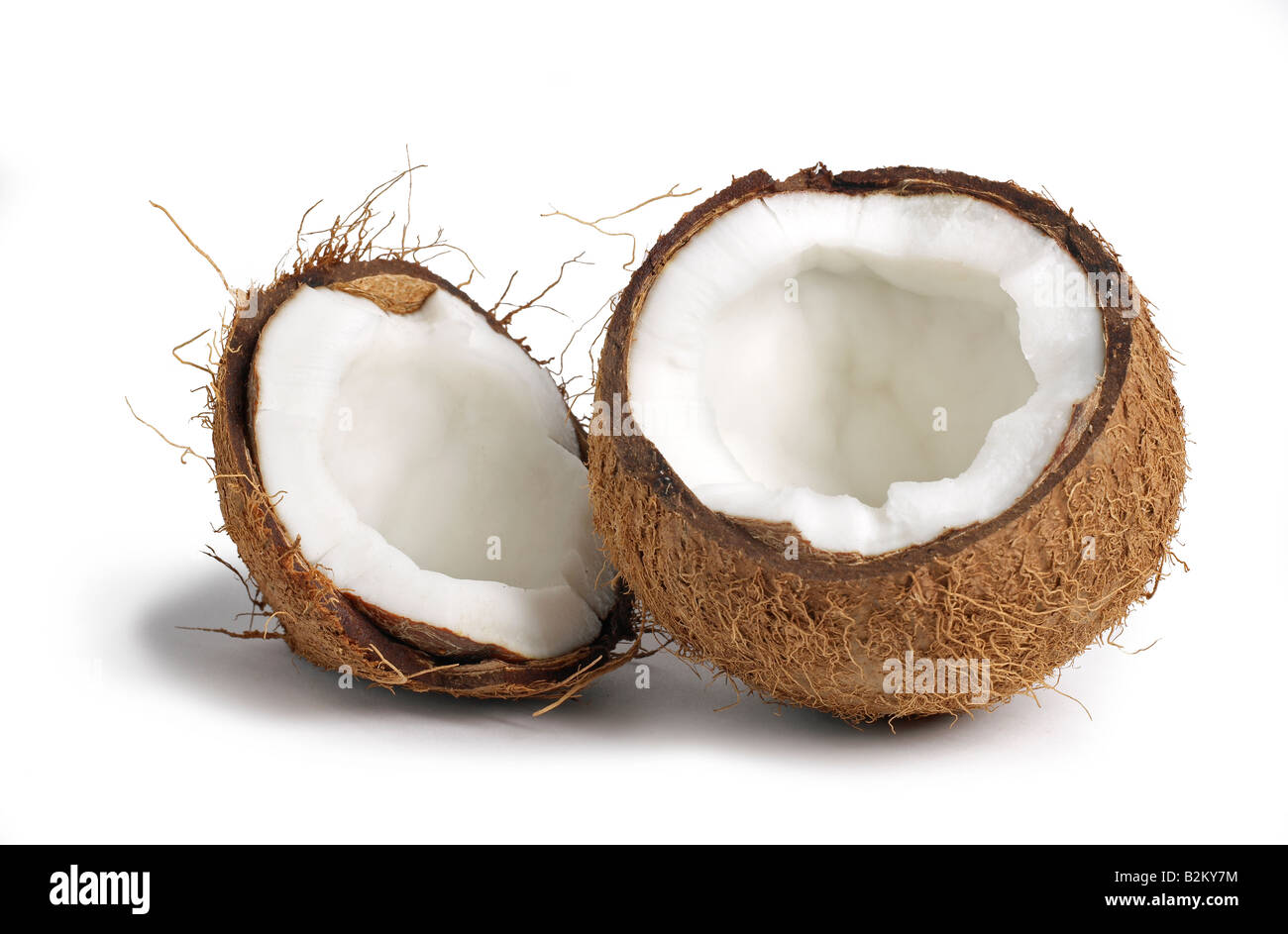 Food dried coconut in Cut Out Stock Images & Pictures - Alamy