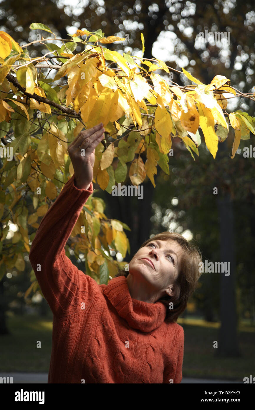 Mature woman under tree Stock Photo - Alamy