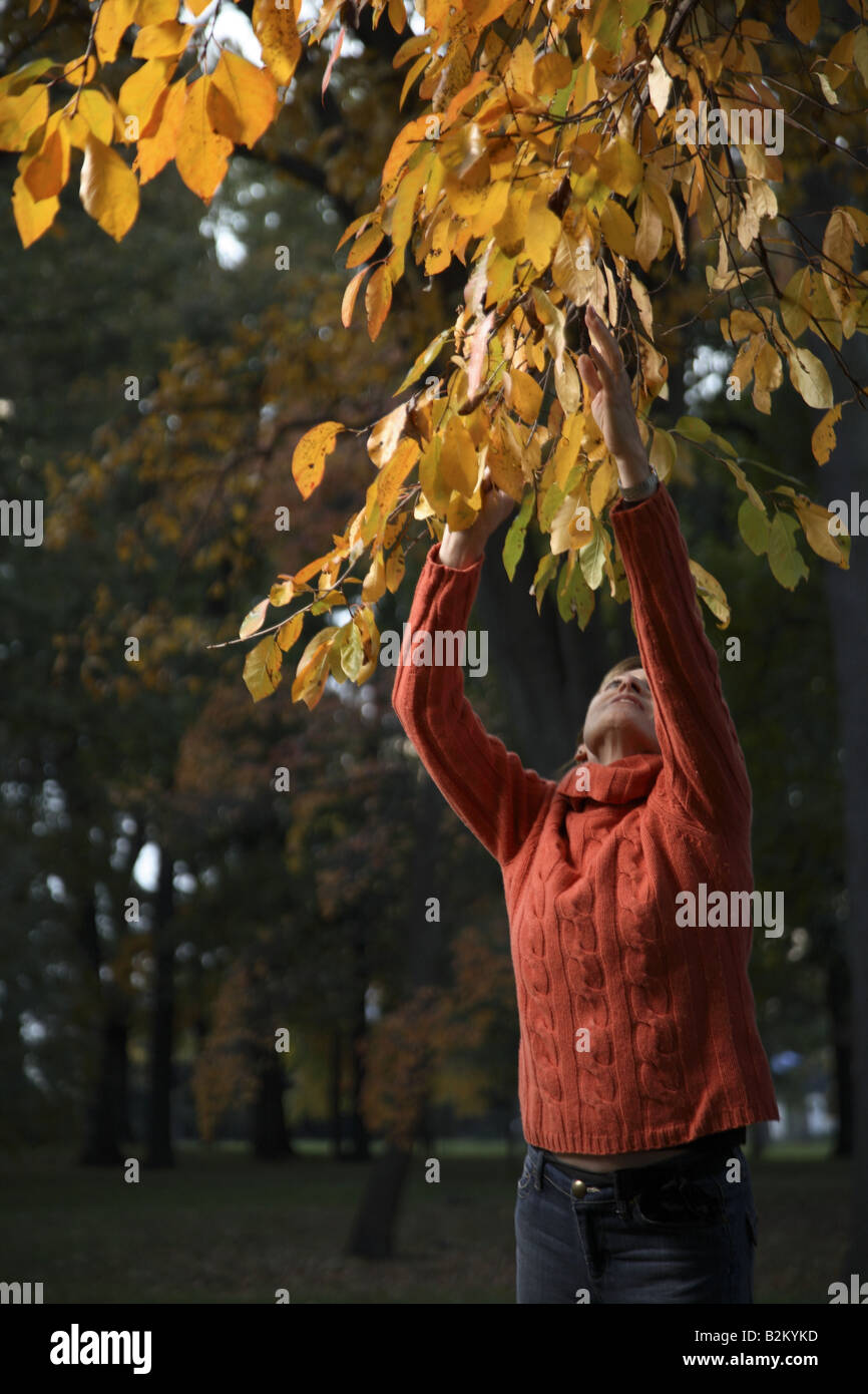 Mature woman under tree Stock Photo - Alamy