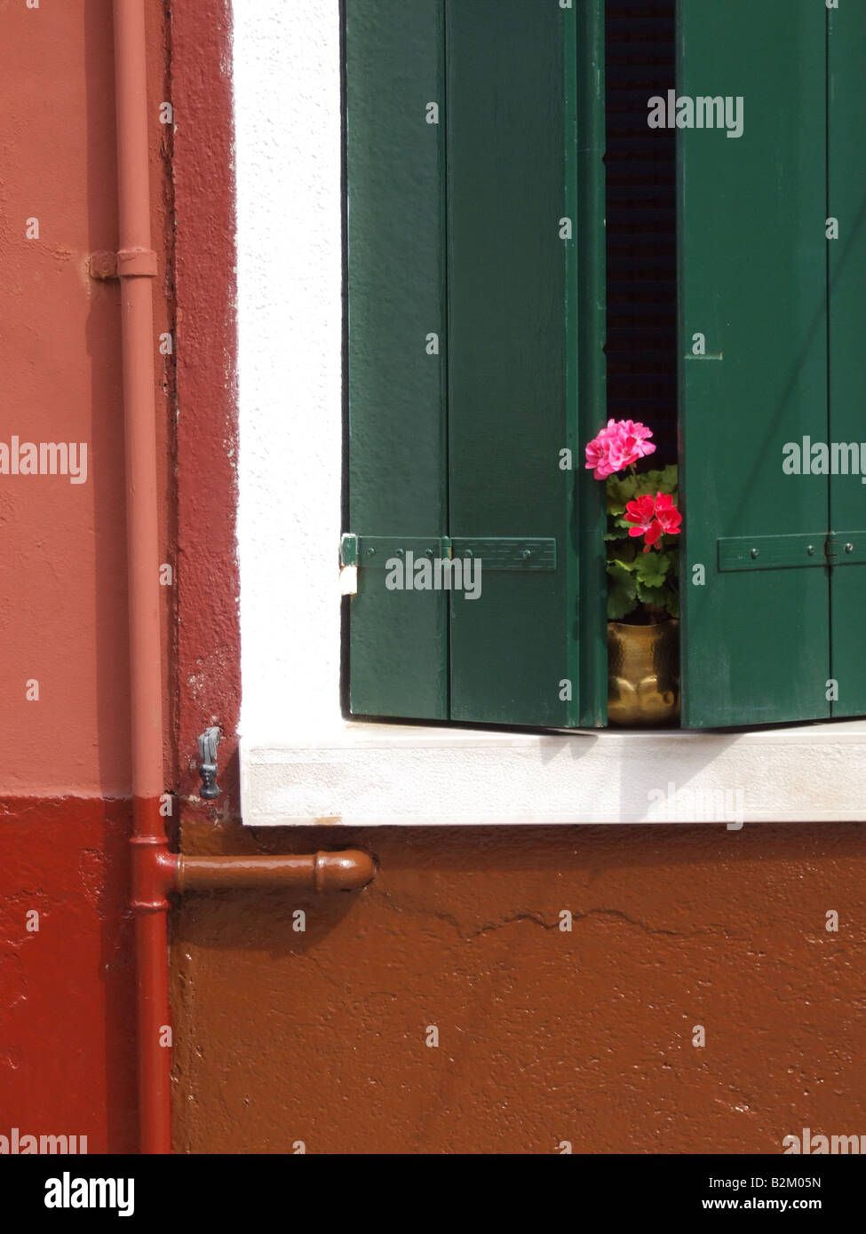 colourful flowers on window sill in venice, italy Stock Photo - Alamy