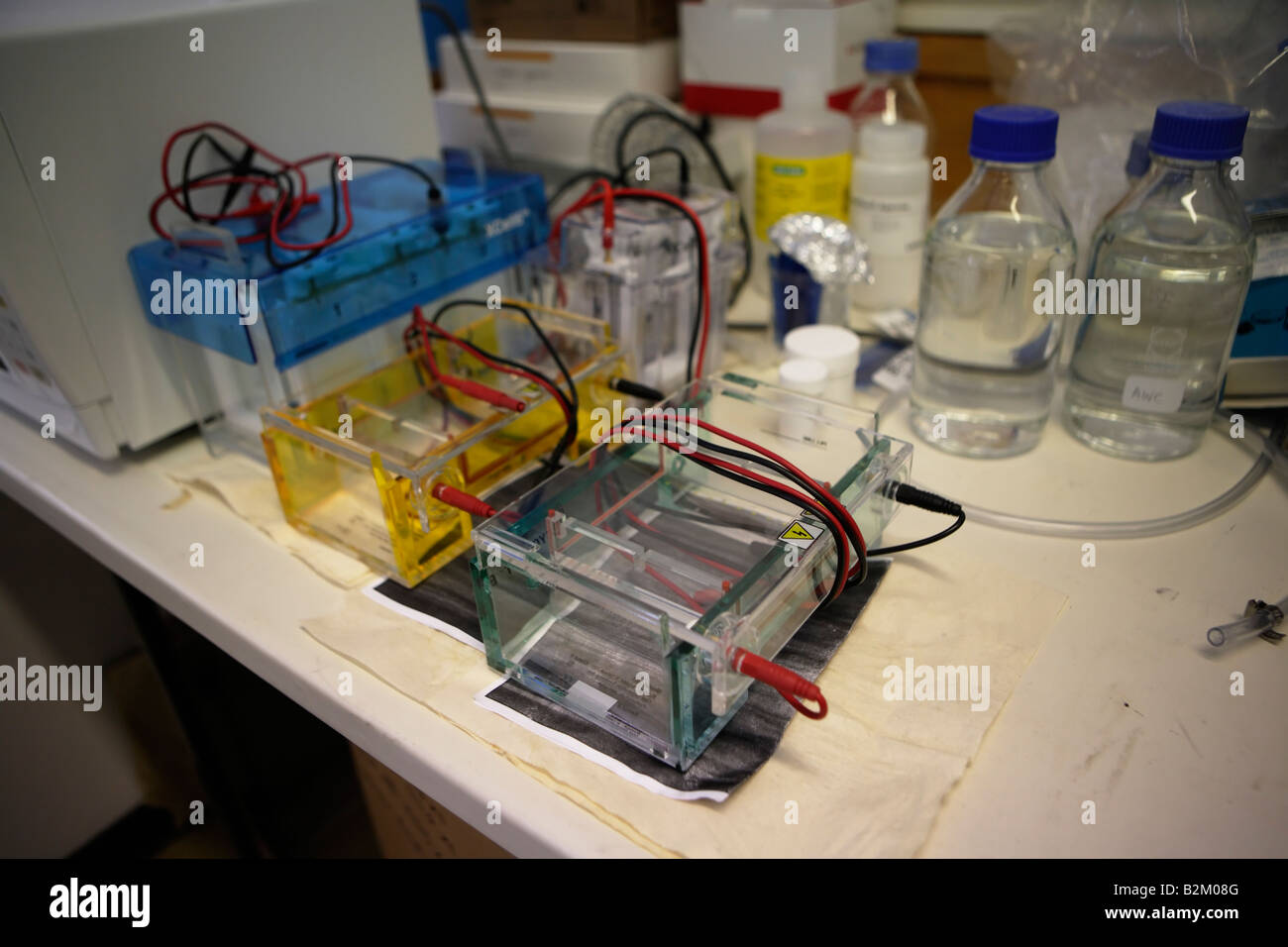 Apparatus for gel electrophoresis hi-res stock photography and images ...