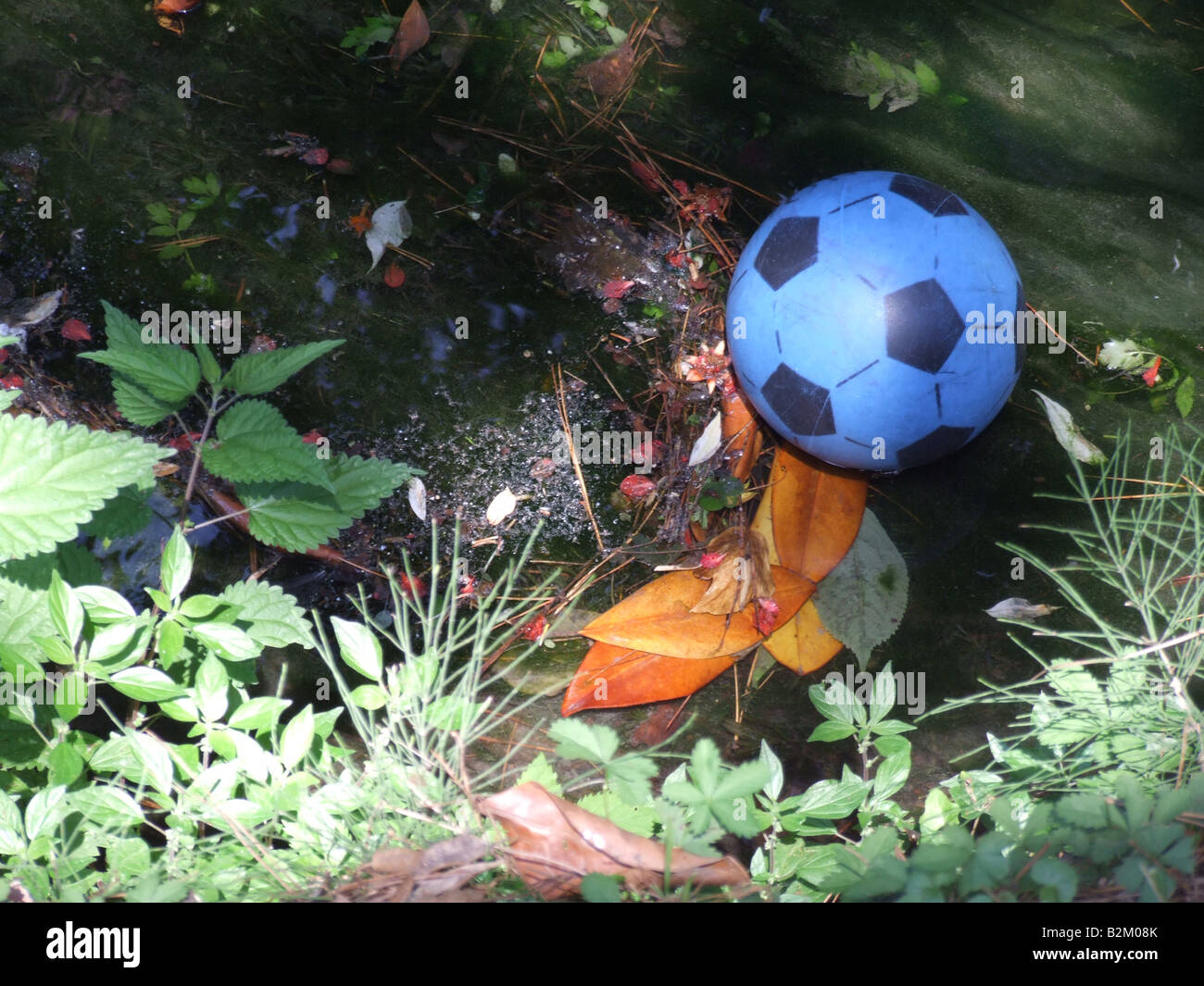 one lost blue plastic ball on small river in trees Stock Photo - Alamy