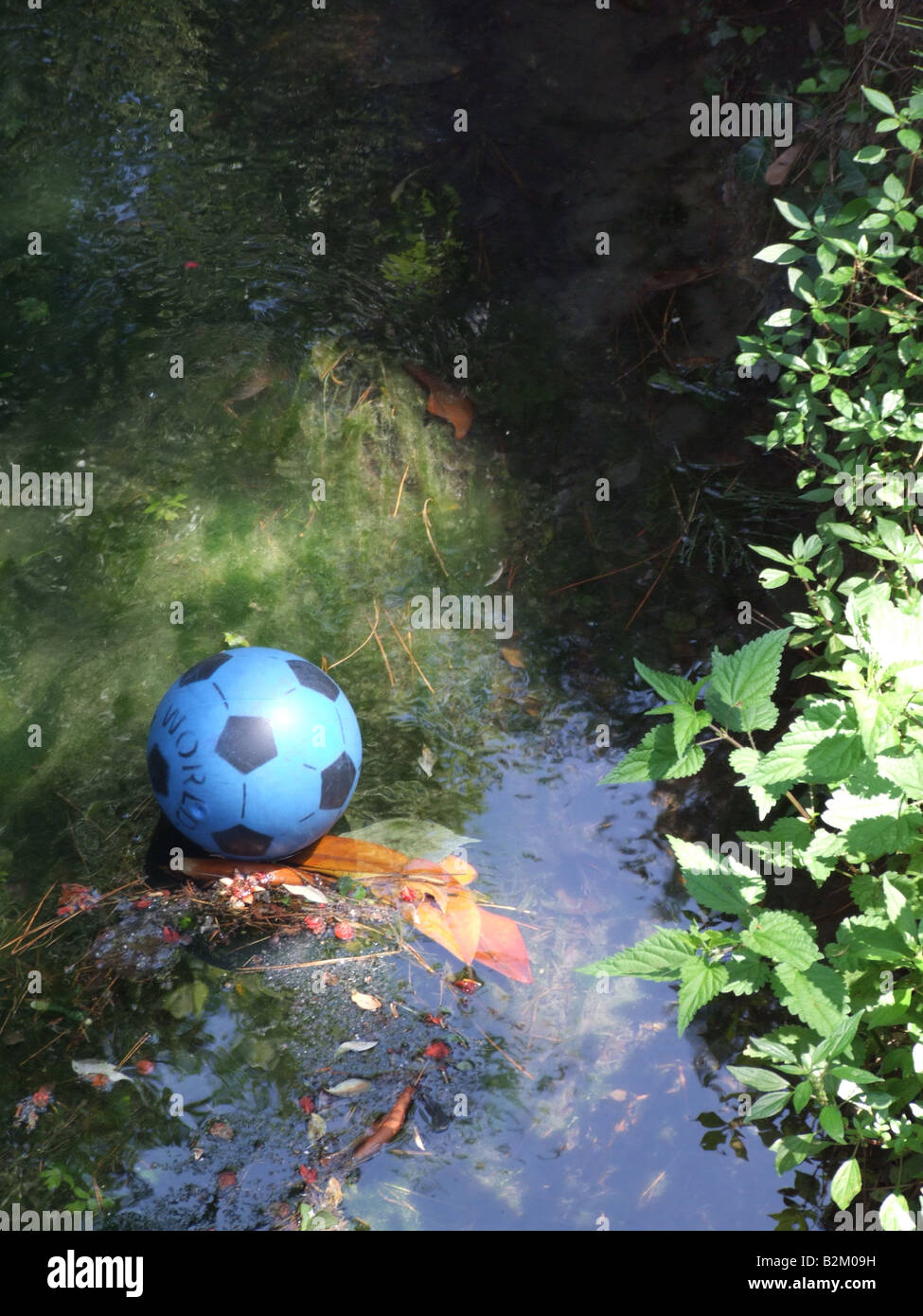 one lost blue plastic ball on small river in trees Stock Photo - Alamy