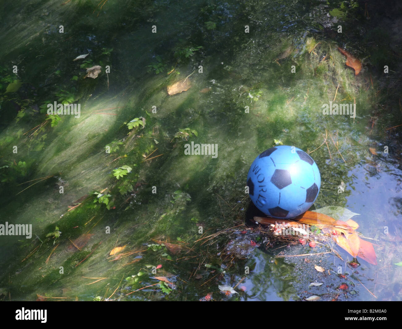 one lost blue plastic ball on small river in trees Stock Photo - Alamy
