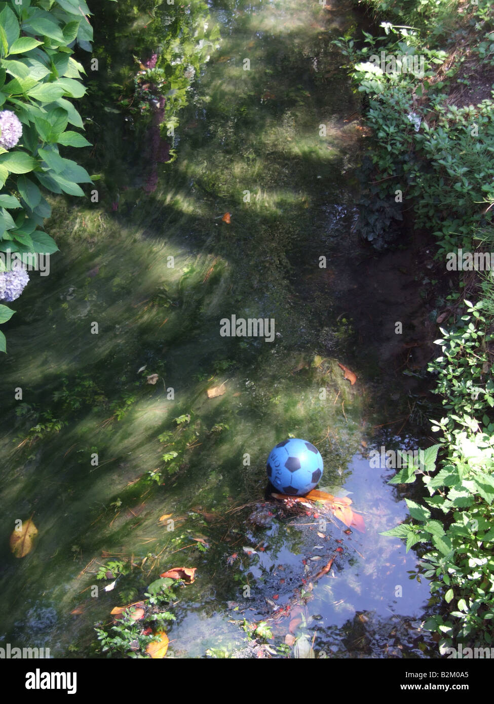 one lost blue plastic ball on small river in trees Stock Photo - Alamy