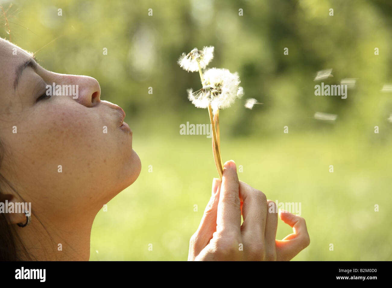woman blowing dandilion Stock Photo - Alamy