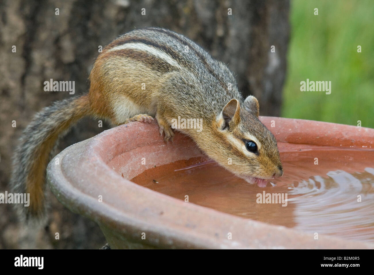 Water flick hi-res stock photography and images - Alamy