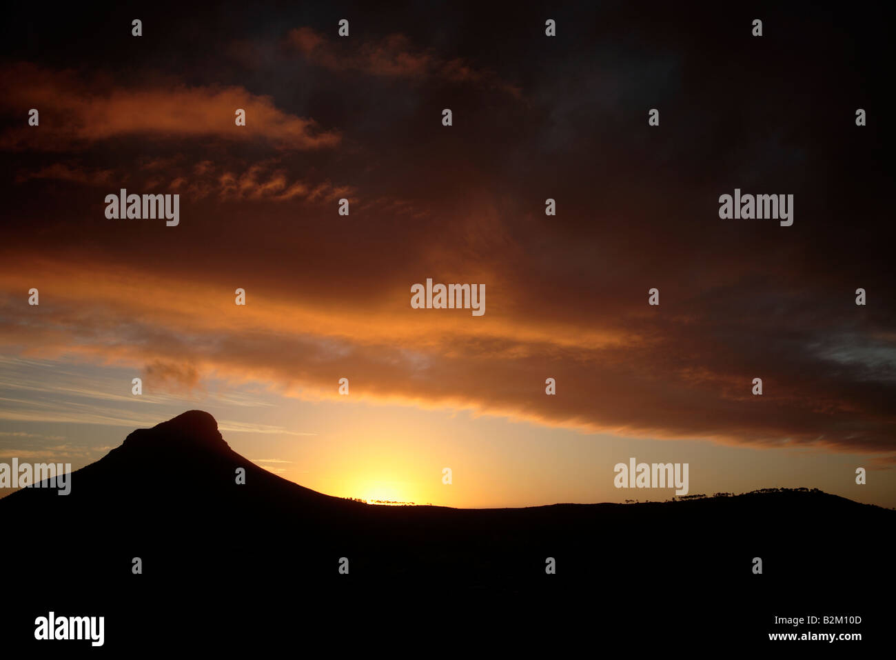 Sunset over Signal Hill Cape Town with Bluegum trees Stock Photo - Alamy