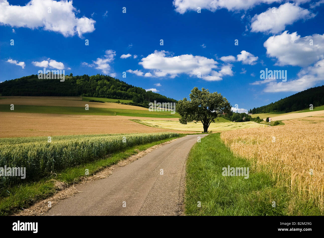 Black forest south germany landscape hi-res stock photography and ...