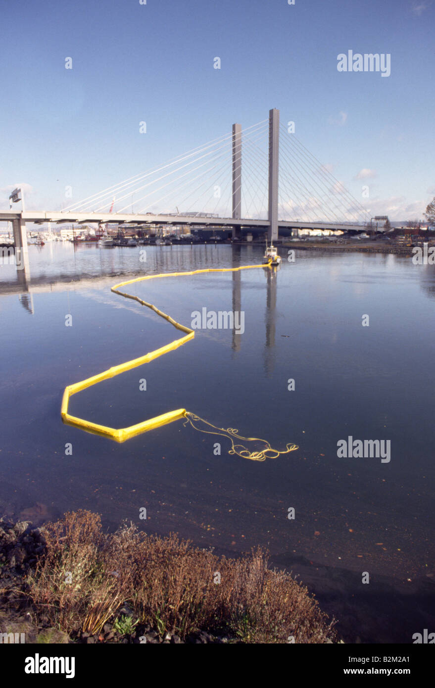 Water & Fish Management Crew in the Thea Foss Waterway under the ...