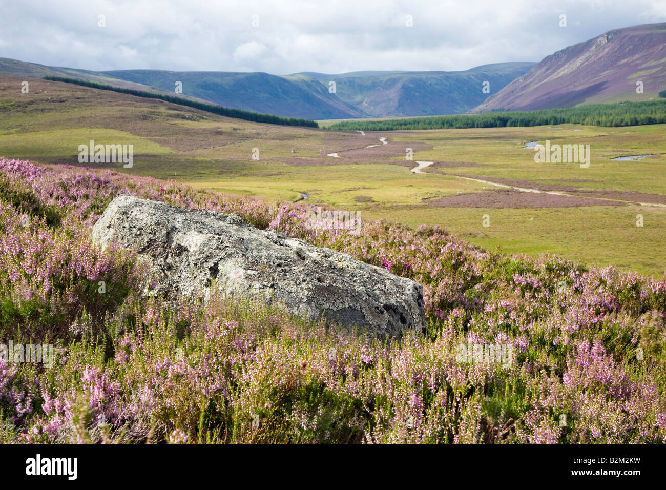 Balmoral Estate, Spittal of Glen Muick, Lochnagar heather moorland ...