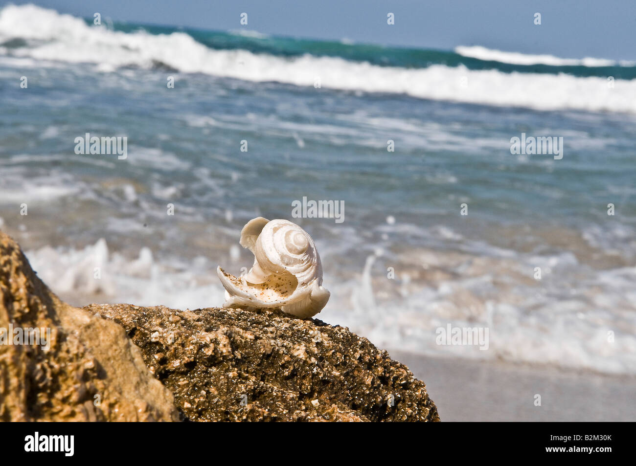 Broken sink shells on the rocks near the sea Stock Photo - Alamy