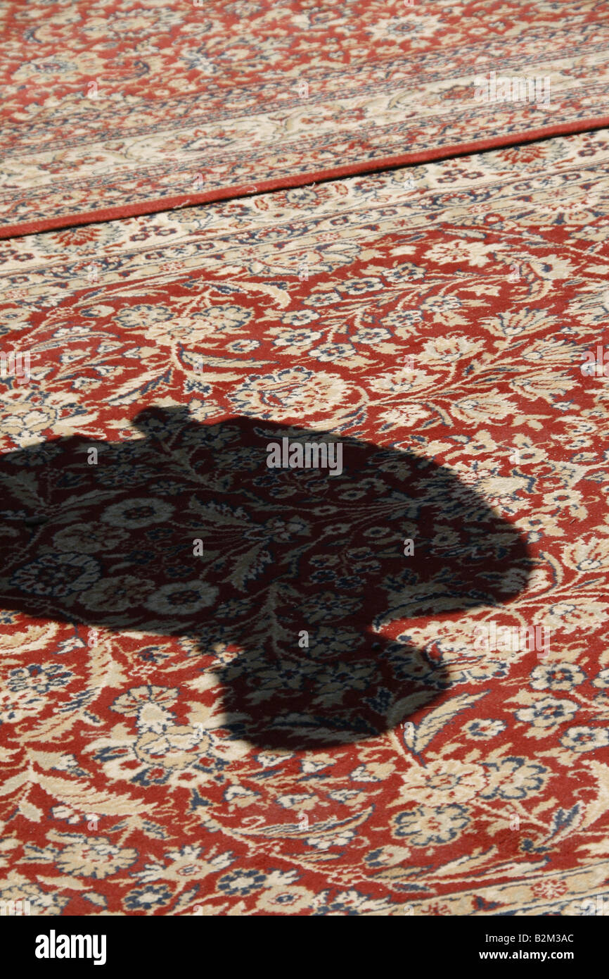 person standing on floral carpet outdoors in sun Stock Photo - Alamy