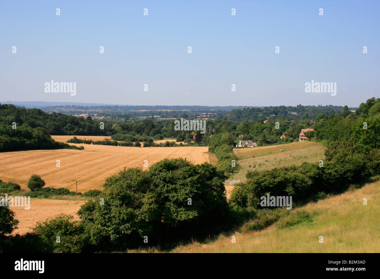 Surrey countryside rural summer hi-res stock photography and images - Alamy
