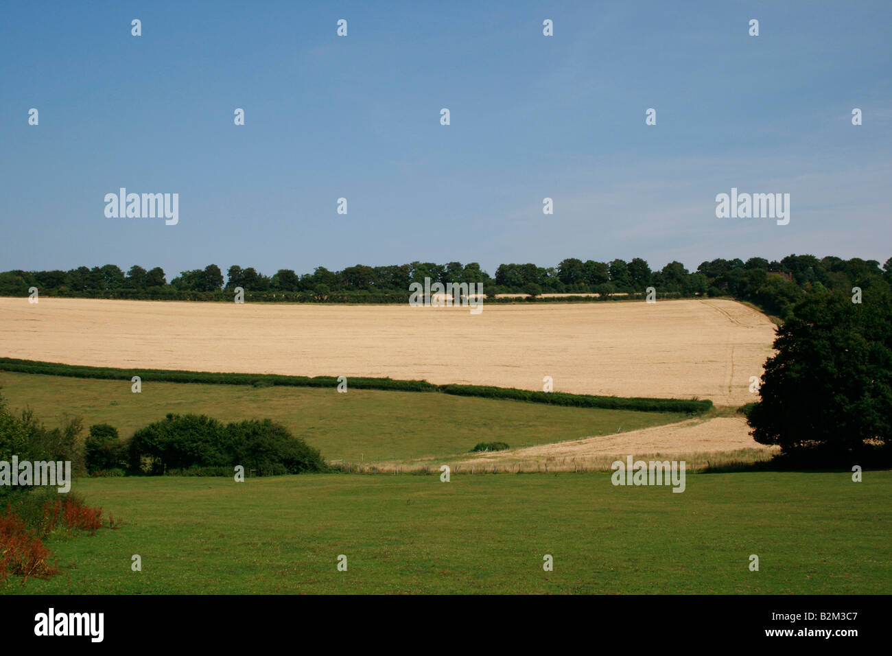 Surrey countryside rural summer hi-res stock photography and images - Alamy
