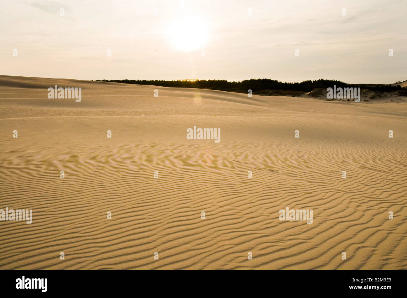 Sand dunes at sunset Stock Photo - Alamy