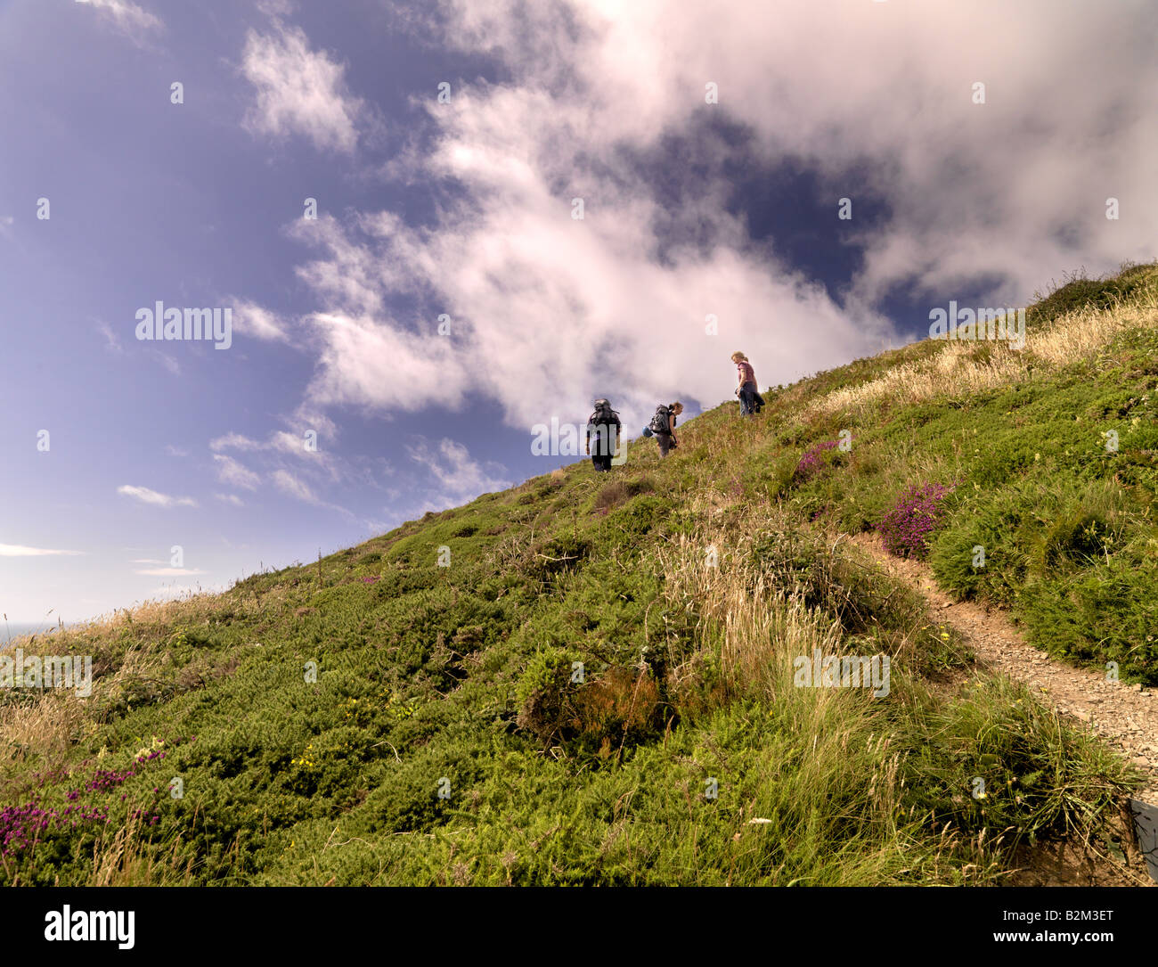 Walkers on North Cornwall coastal path Stock Photo - Alamy