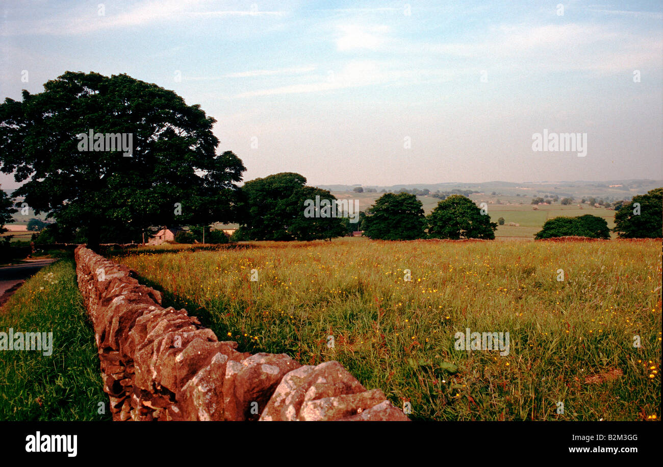 farmland in Yorkshire Stock Photo - Alamy