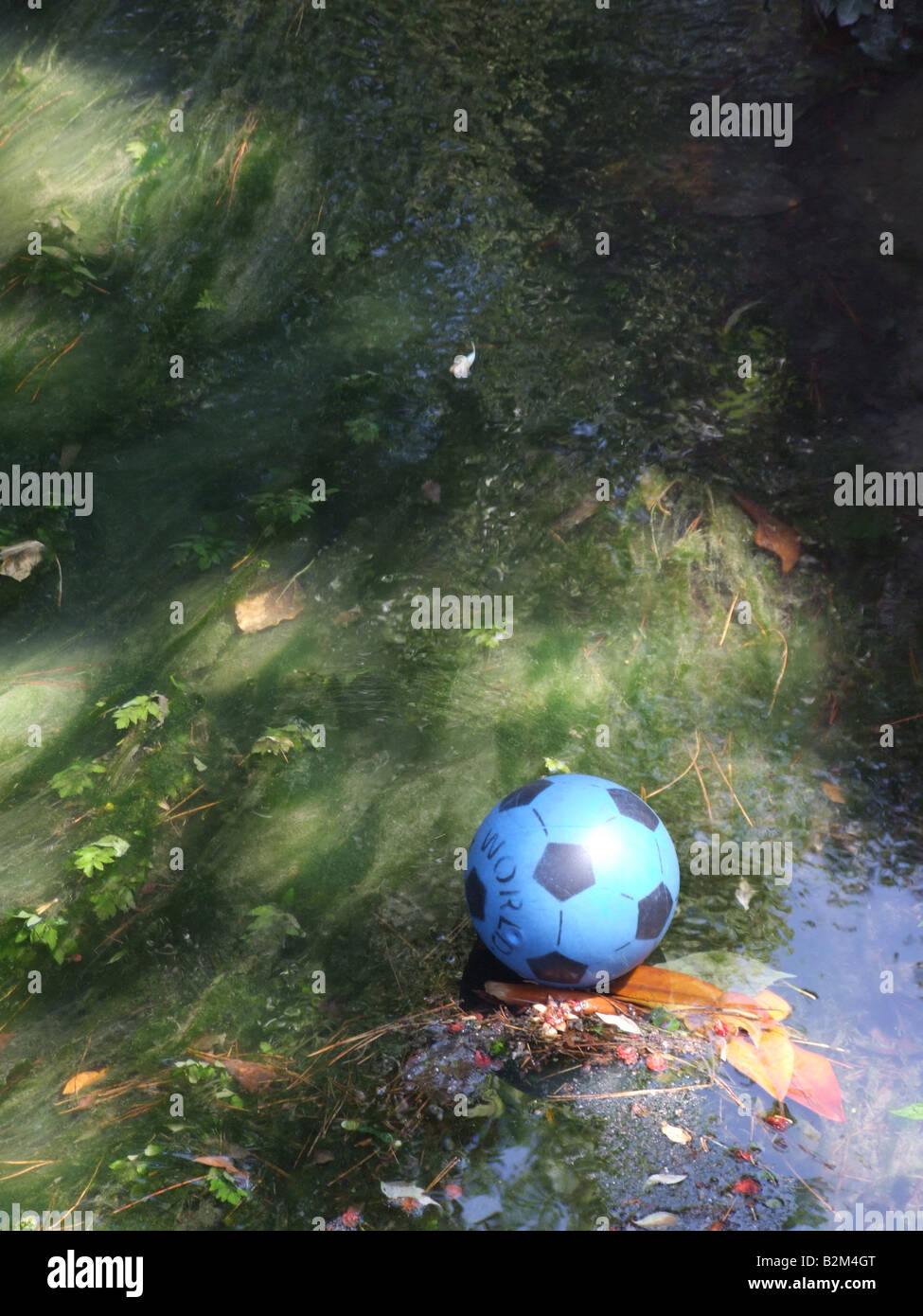 one lost blue plastic ball on small river in trees Stock Photo - Alamy