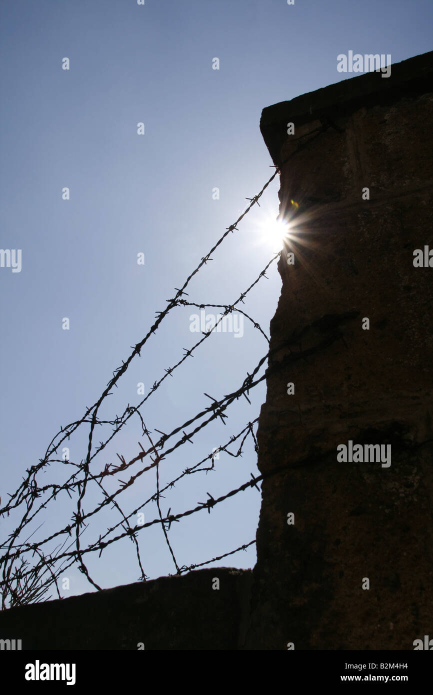 tangled barbed wire fence against blue sky Stock Photo - Alamy