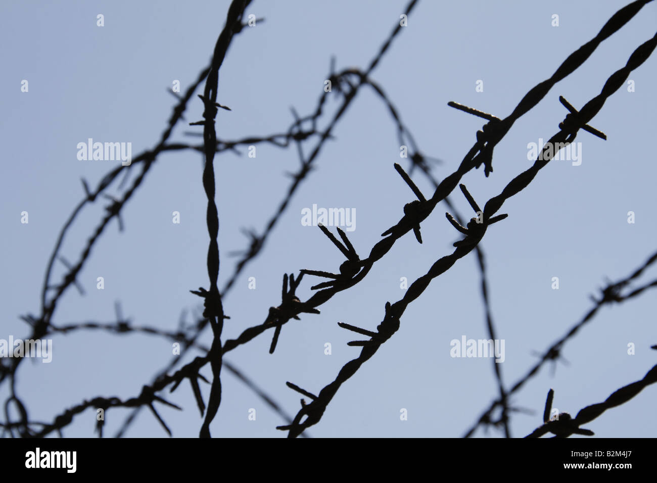 tangled barbed wire fence against blue sky Stock Photo - Alamy