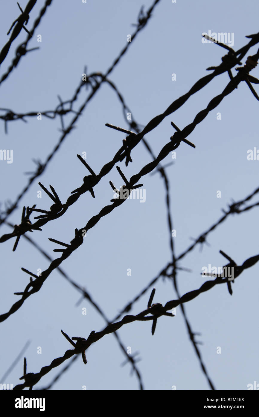 tangled barbed wire fence against blue sky Stock Photo - Alamy