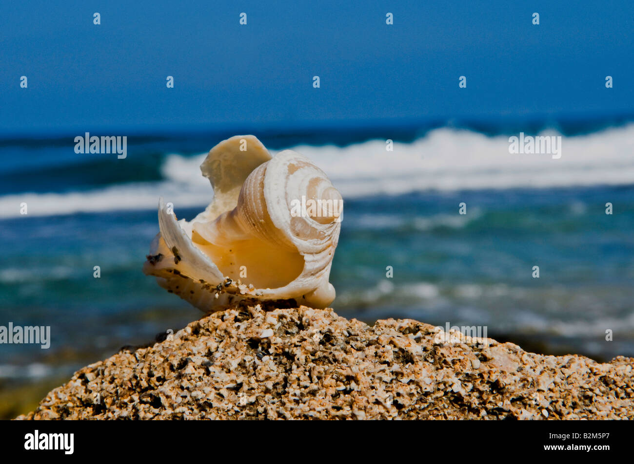 Broken sink shells on the rocks near the sea Stock Photo - Alamy