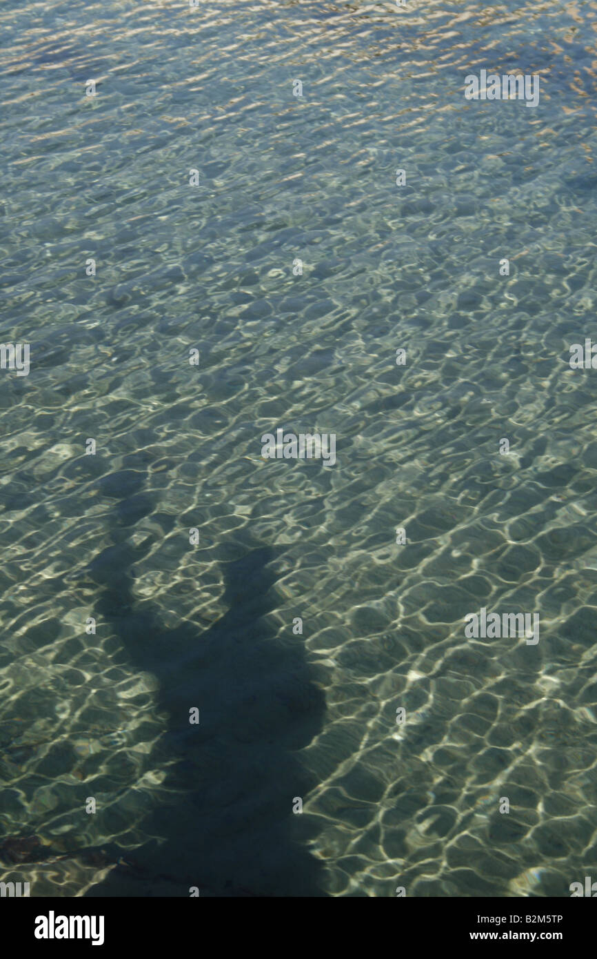 one person's self portrait shadow in water in sea Stock Photo - Alamy