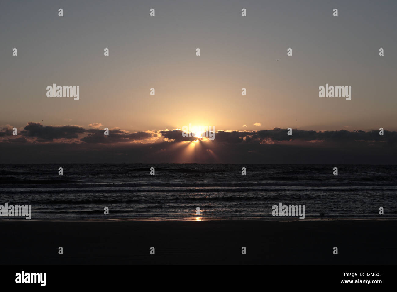 SUN RISING OVER ATLANTIC OCEAN ON THE BEACH ON CUMBERLAND ISLAND ...