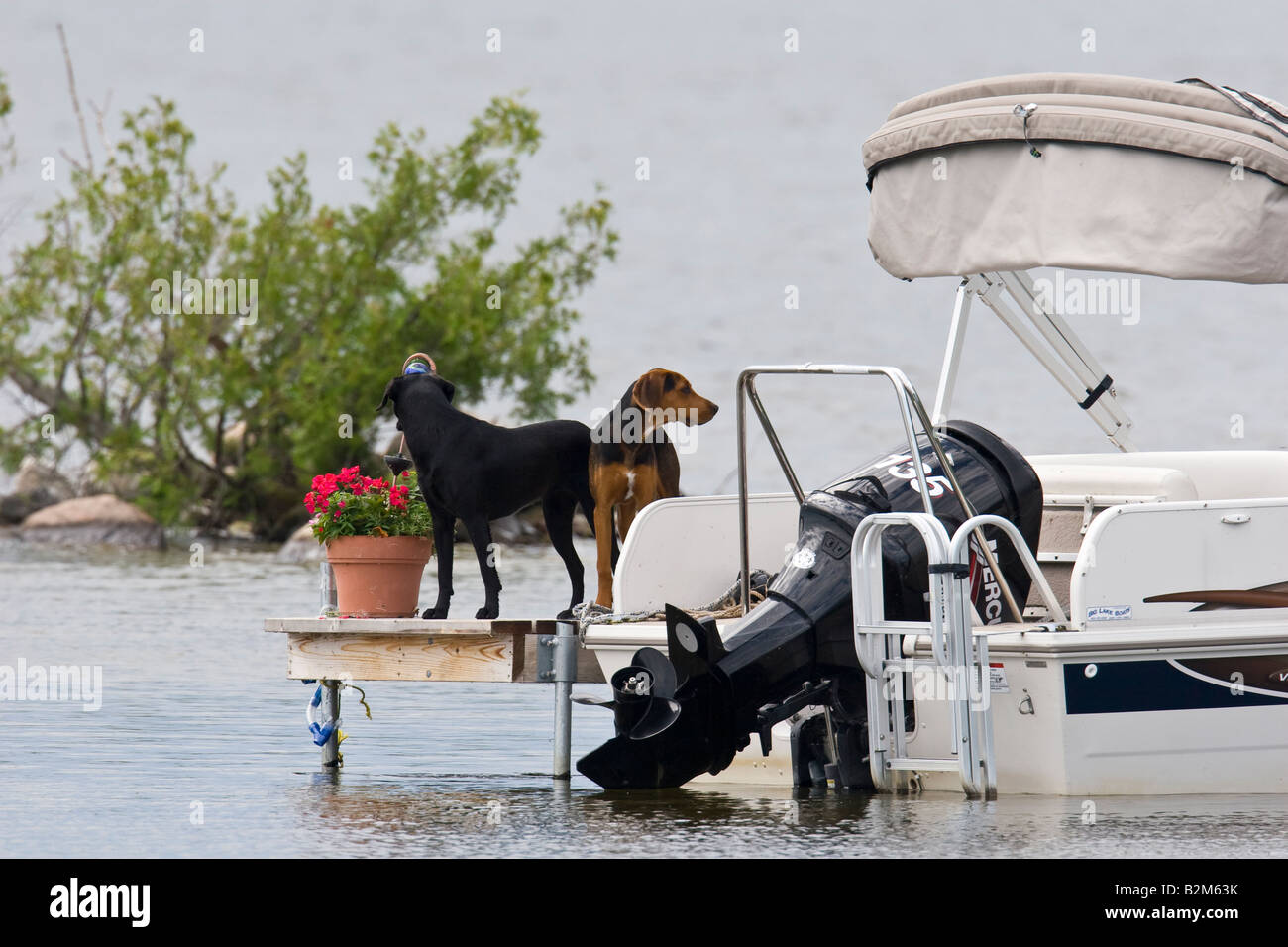 Shallow water games hi-res stock photography and images - Alamy