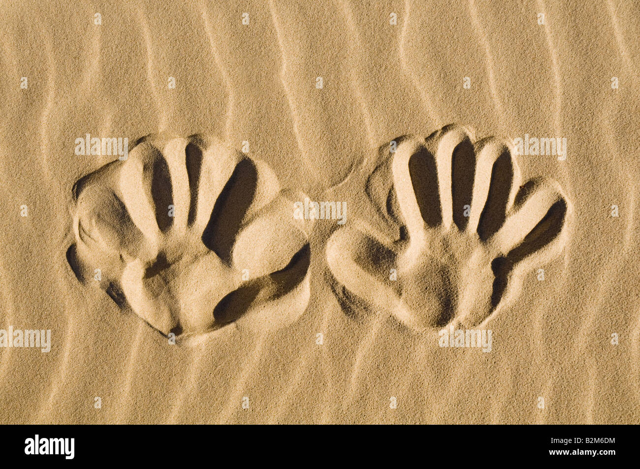 Hand prints in the sand Stock Photo - Alamy