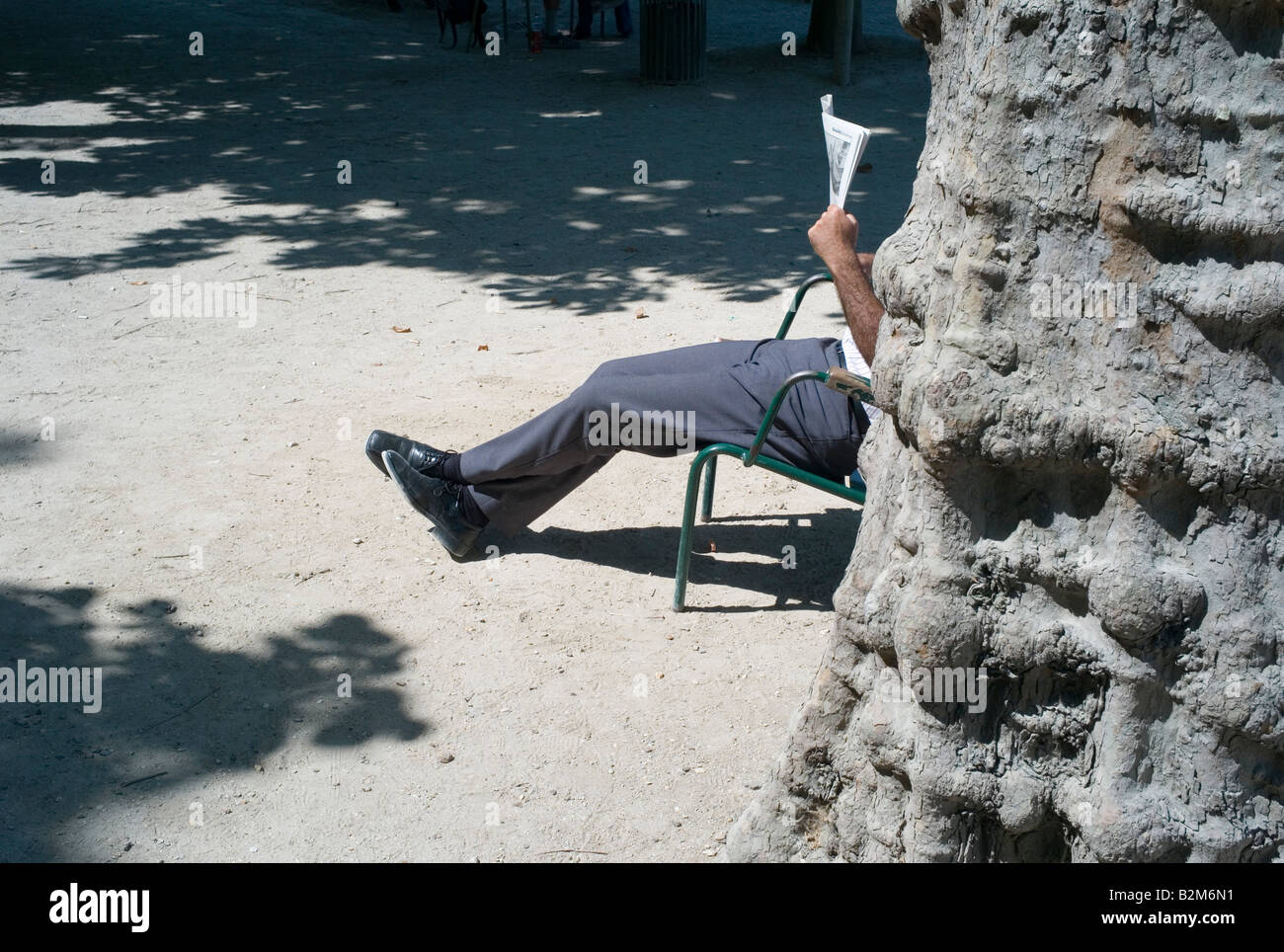 people reading new paper hidden behind a tree Stock Photo - Alamy