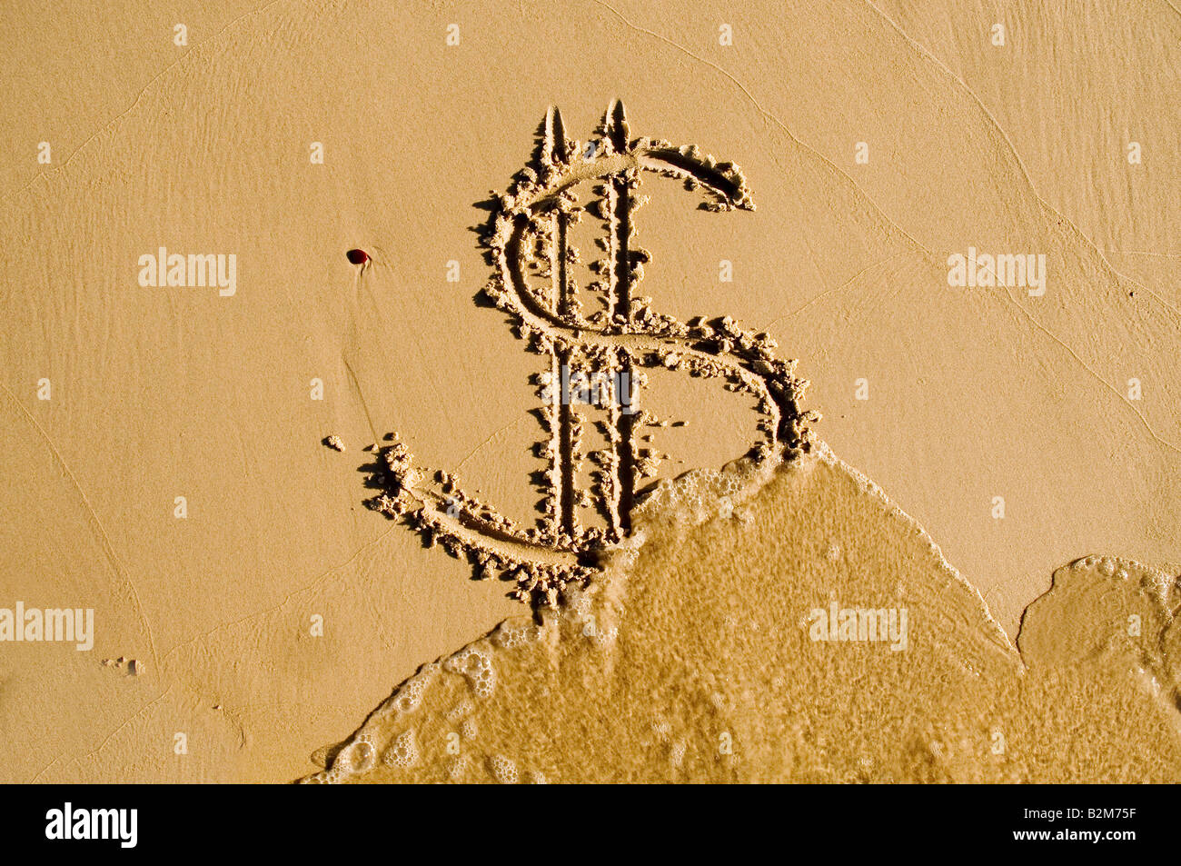 Sand dollar with wave hi-res stock photography and images - Alamy