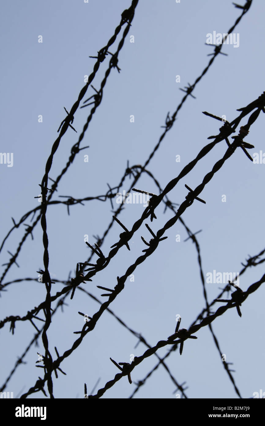 tangled barbed wire fence against blue sky Stock Photo - Alamy