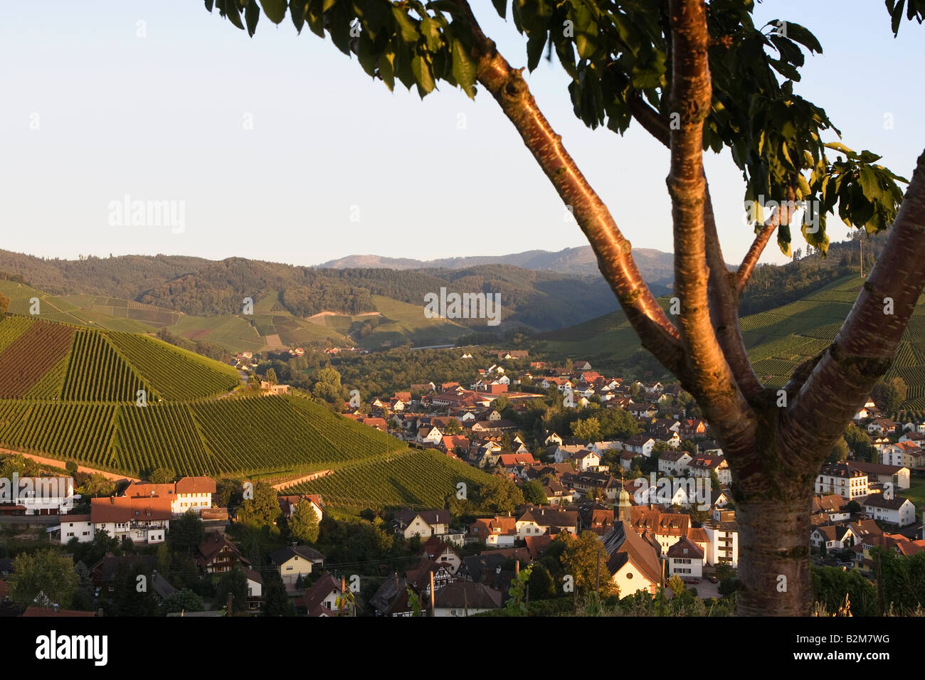 Village of Durbach Black Forest Baden Wuerttemberg Germany September 2007 Stock Photo - Alamy
