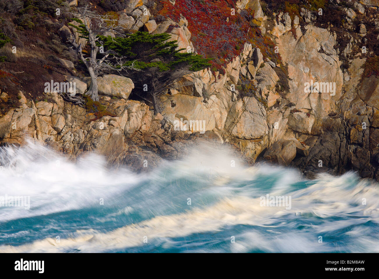 Carmel cove hi-res stock photography and images - Alamy