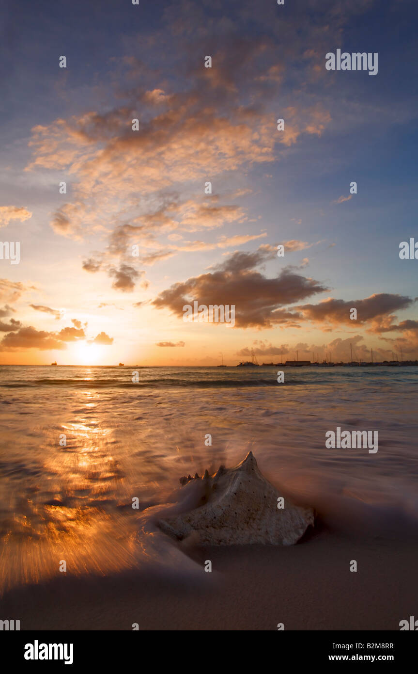 Queen barbados hi-res stock photography and images - Alamy