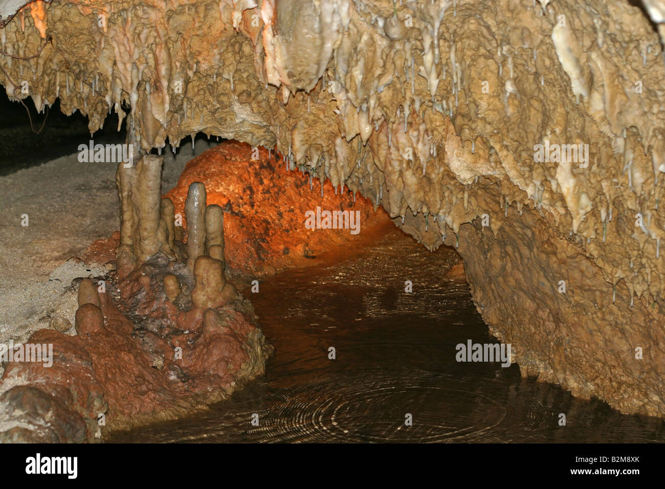 Harrisons cave barbados hi-res stock photography and images - Alamy