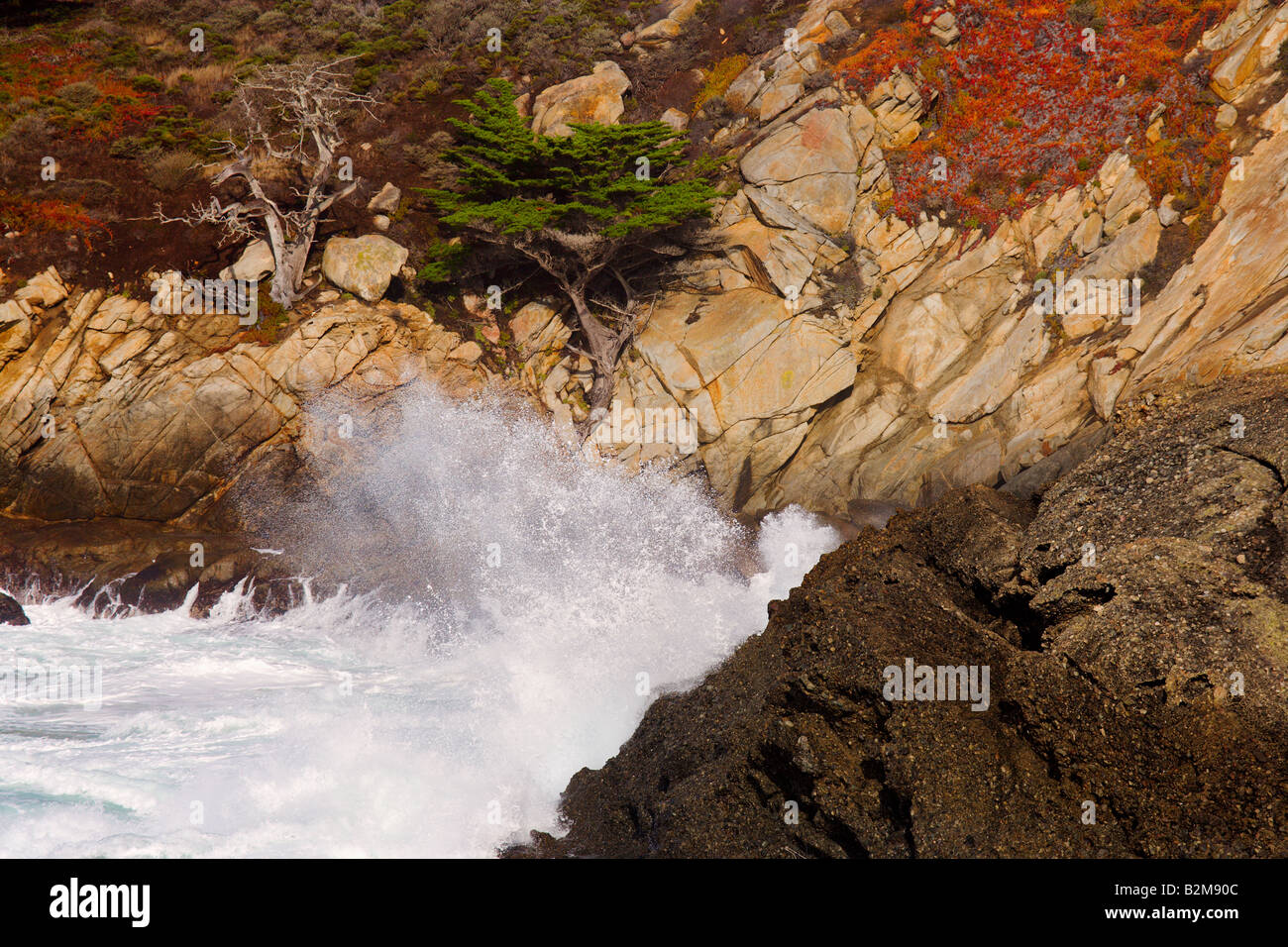Waves off the Pacific Ocean crash along the shores of Point Lobos ...